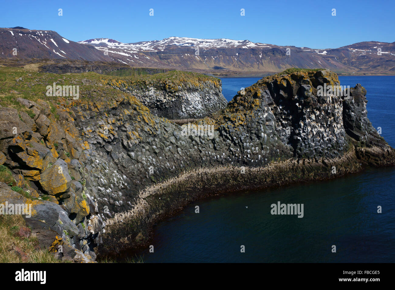 Shoreline and cliffs of Arnarstapi nature reserve with birds nesting ...