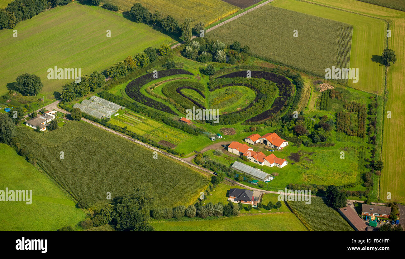 Aerial, Horticulture in Waltrop, heart shape, heart-shaped beds, heart ...