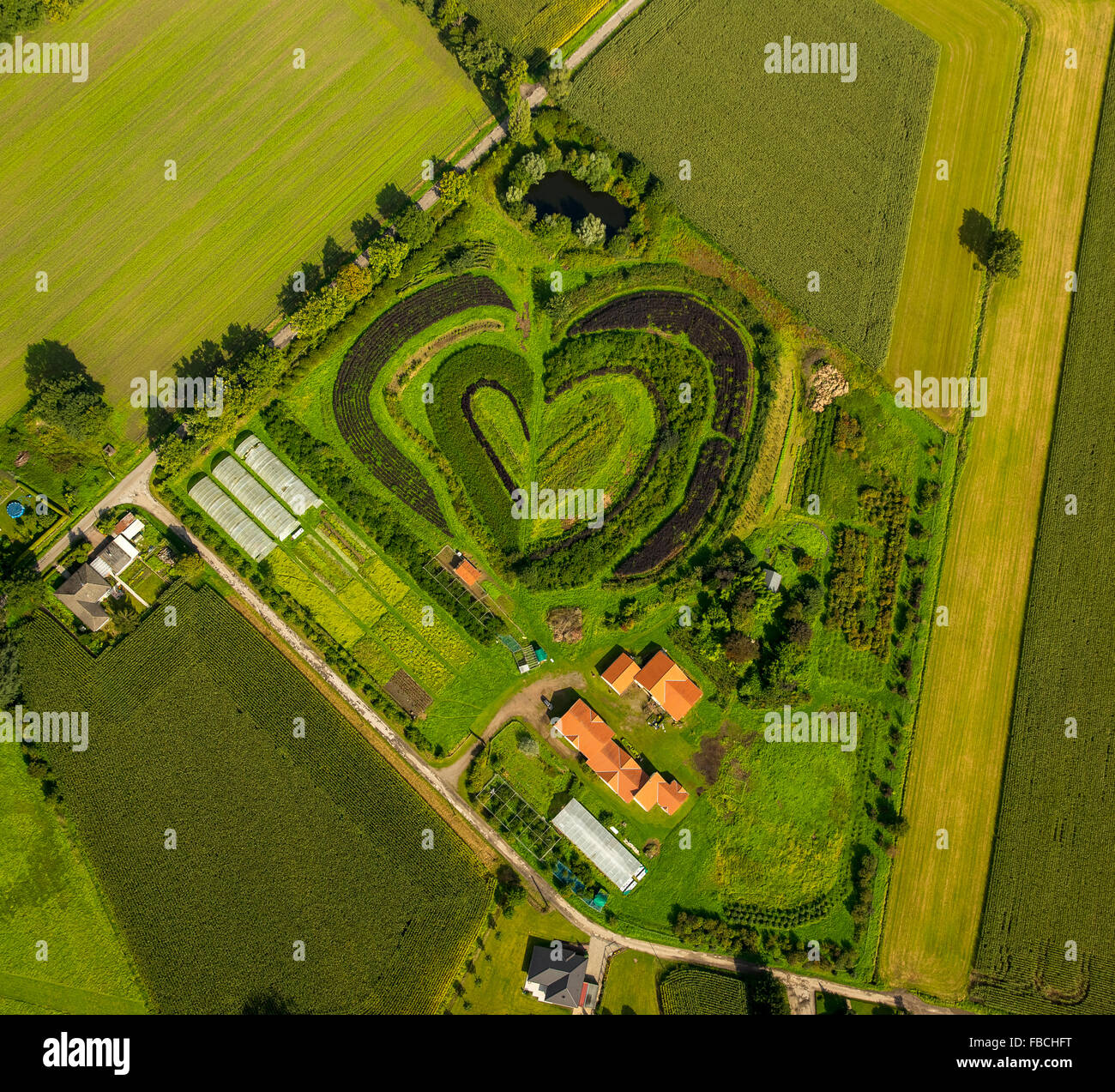 Aerial, Horticulture in Waltrop, heart shape, heart-shaped beds, heart ...
