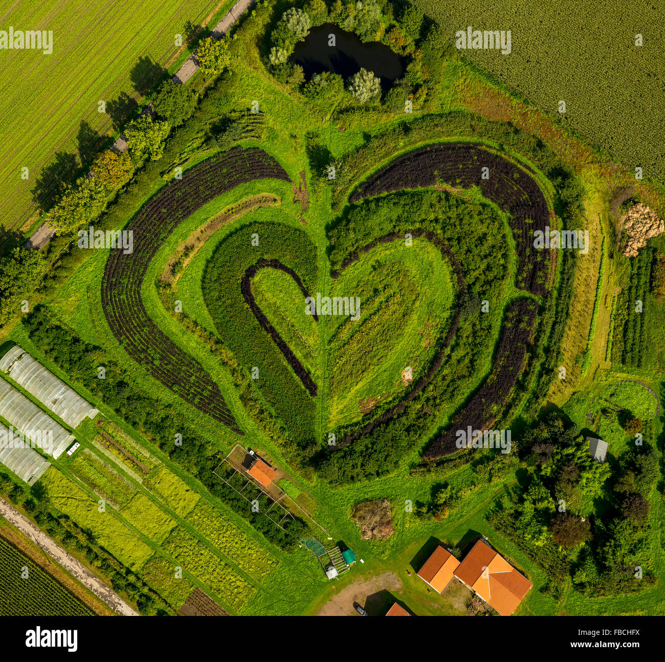 Horticulture hi-res stock photography and images - Alamy