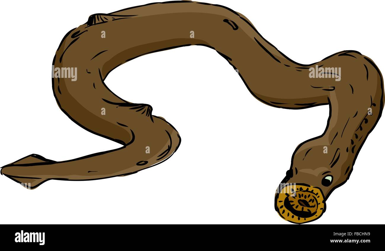 Single cartoon lamprey eel fish hi-res stock photography and images - Alamy