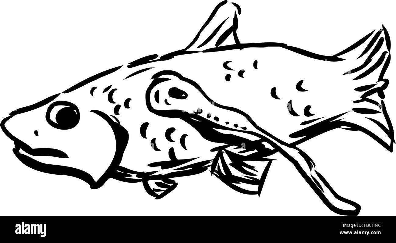 Outlined lamprey eel attached to nervous fish over white background ...