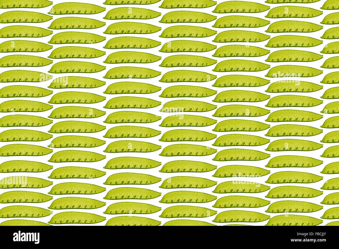 Mange tout hi-res stock photography and images - Alamy