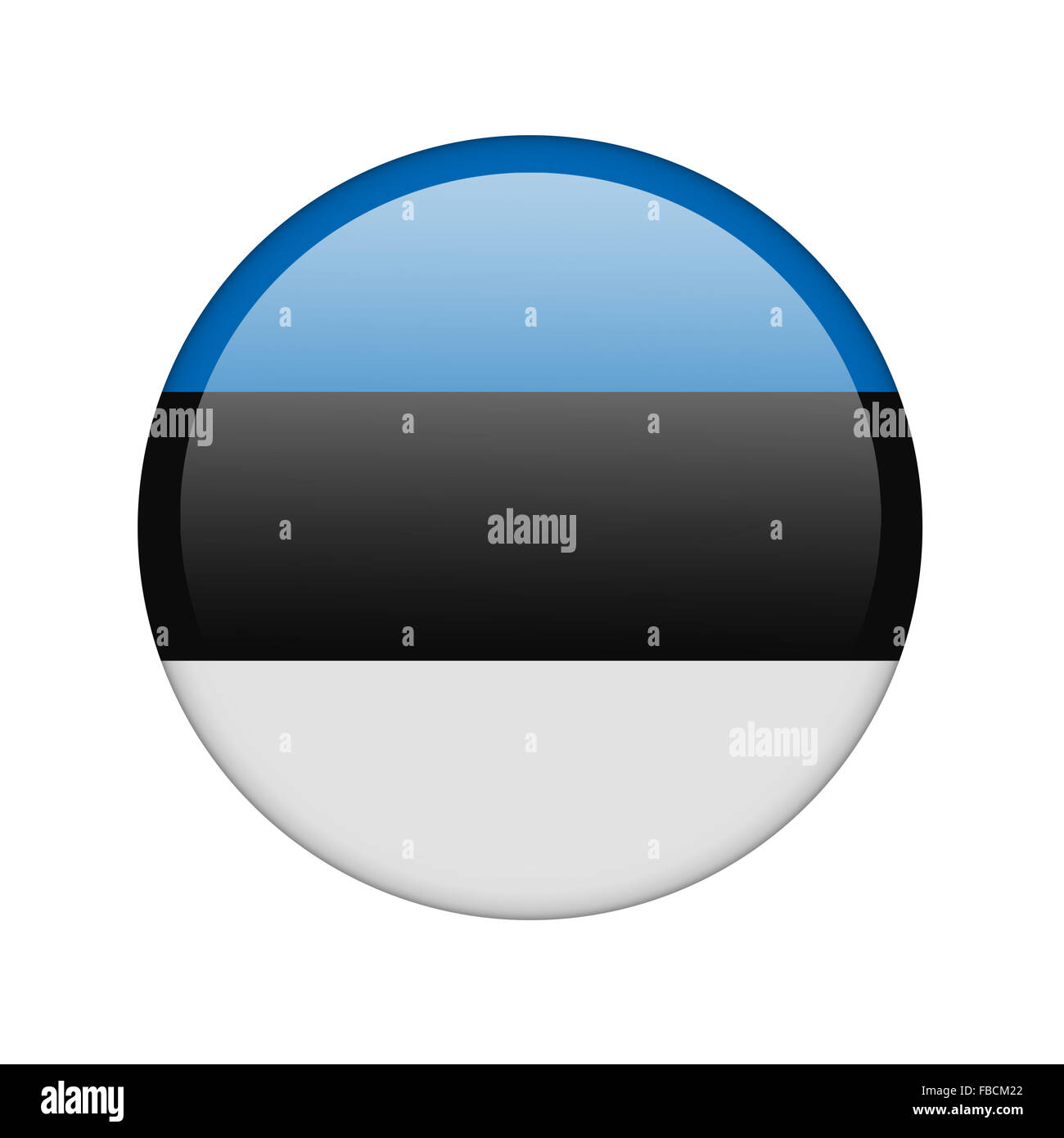 The Estonian flag Stock Photo - Alamy