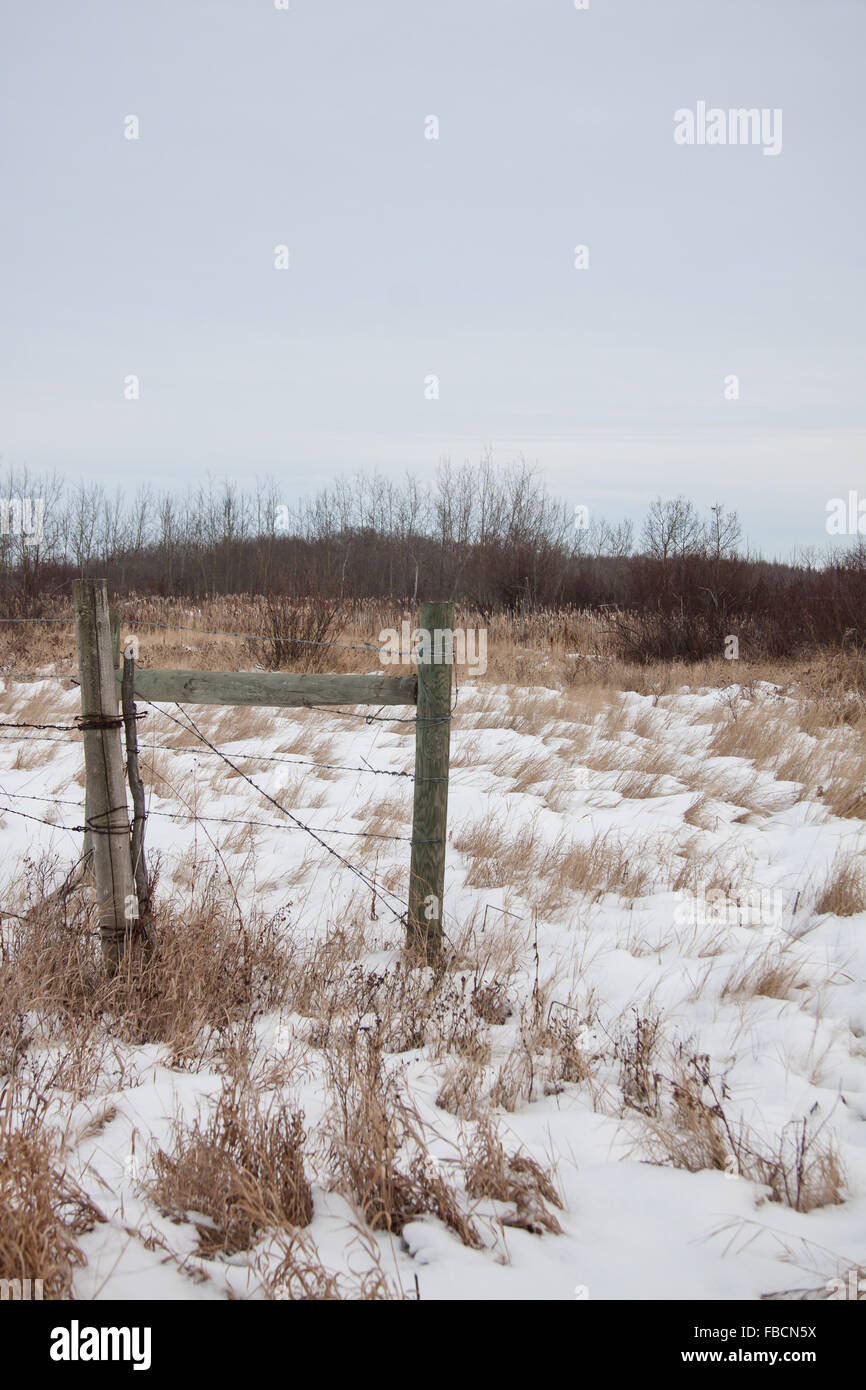 outdoor Winter scenery with Snow on the ground Stock Photo - Alamy