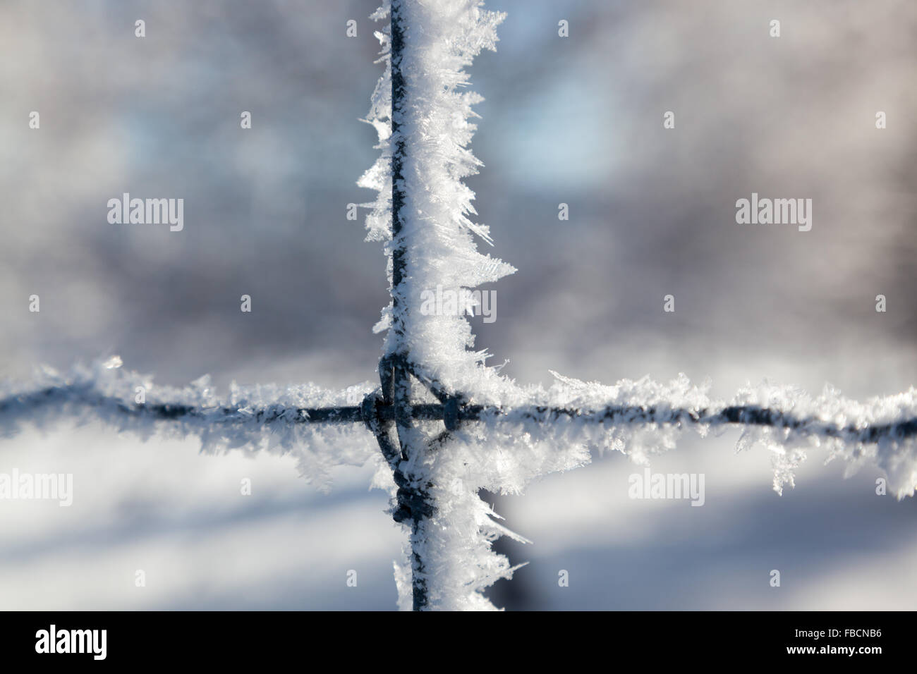 Crystals growing in a crystal hi-res stock photography and images - Alamy