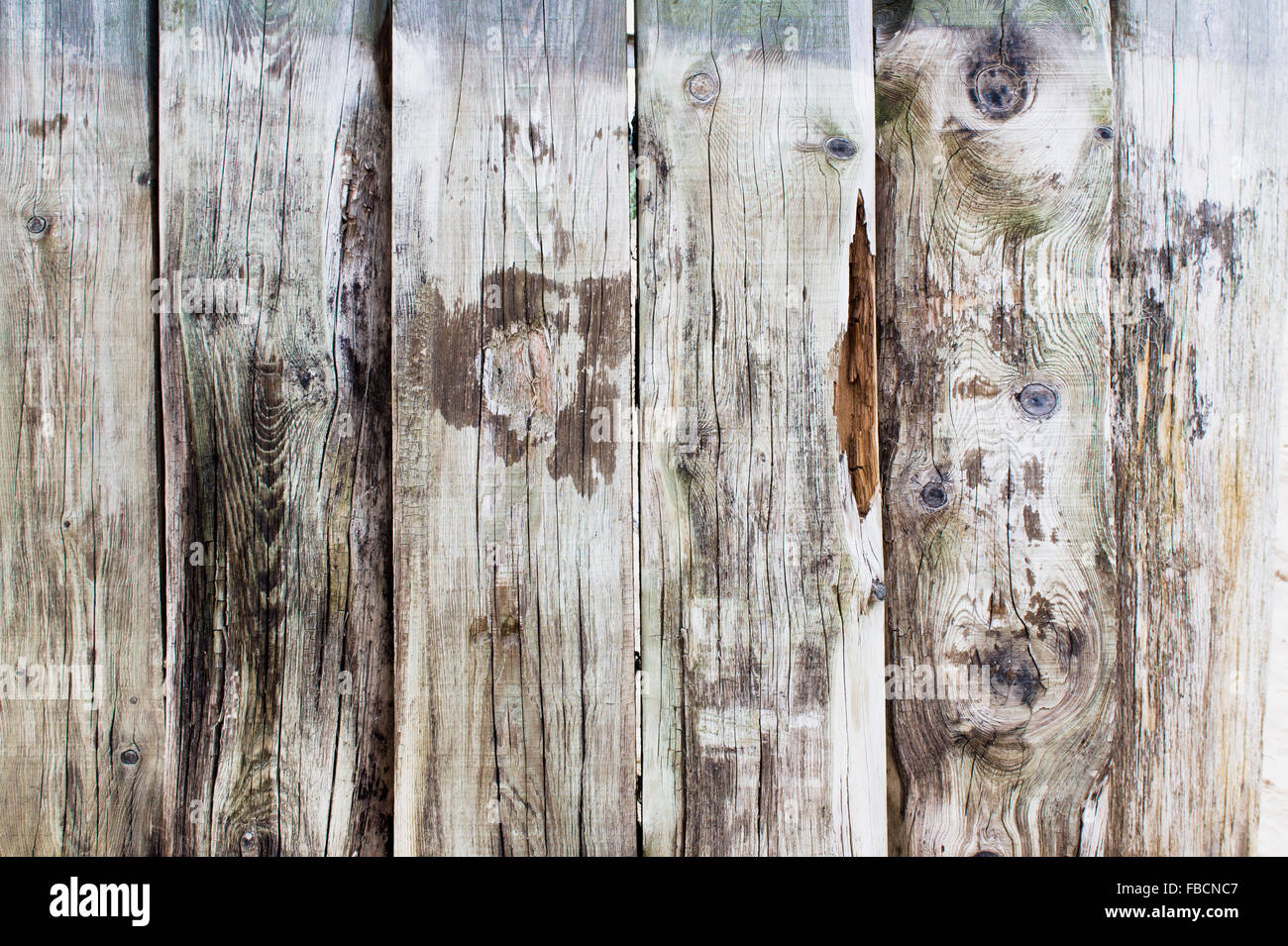 Wood panels showing signs of rot due to moisture Stock Photo - Alamy