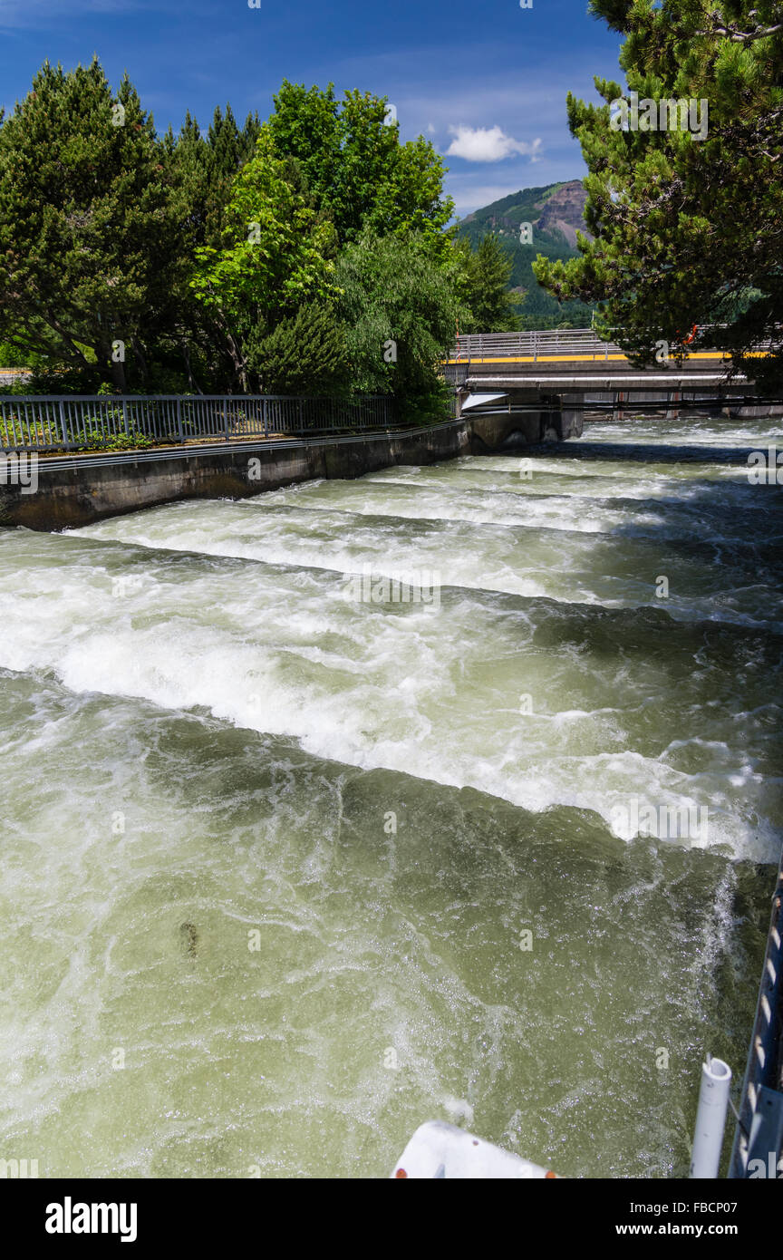 Water flowing through the fish ladder at Bonneville Dam. Cascade Locks ...