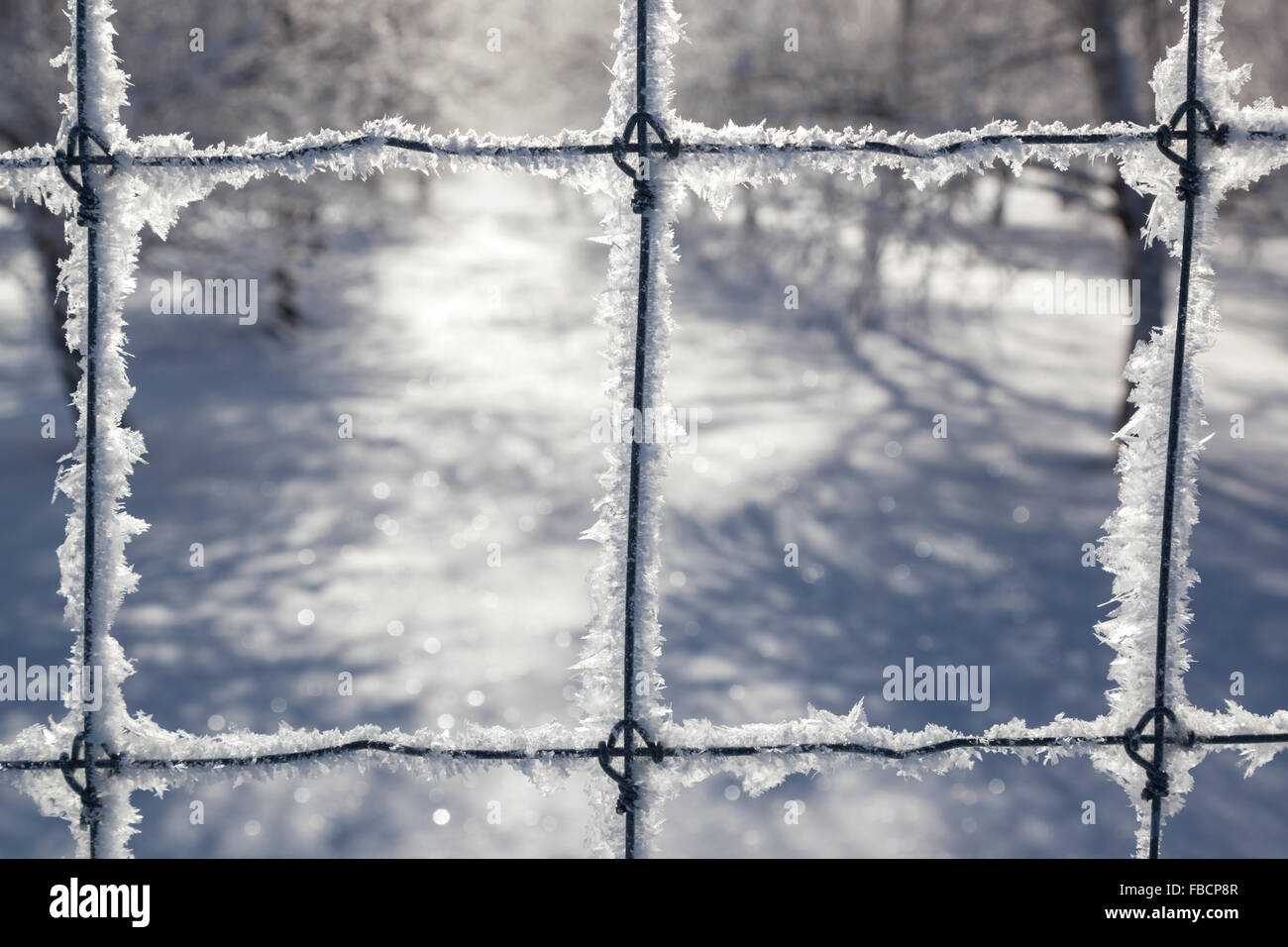 Crystals growing in a crystal hi-res stock photography and images - Alamy