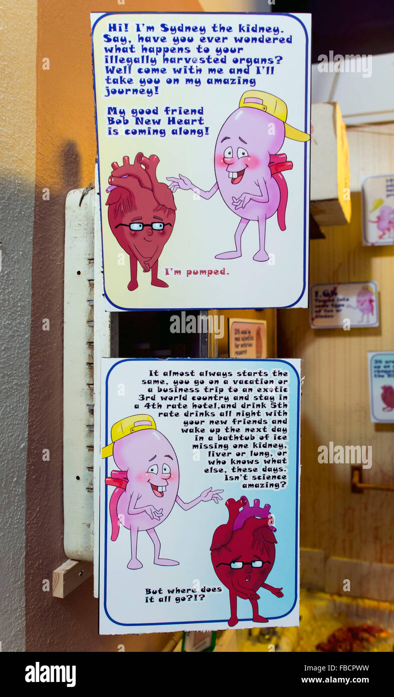 Portland, Oregon, USA. 14th Jan, 2016. A display at Freakybuttrue ...