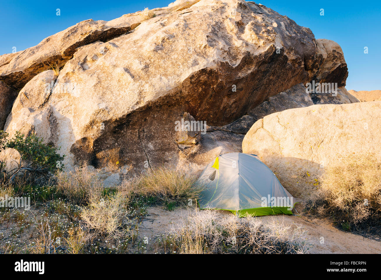 Boy Camping Scout High Resolution Stock Photography and Images - Alamy