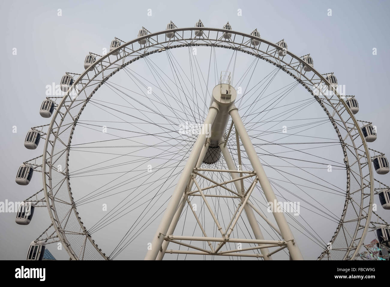 Shanghai, Shanghai, CHN. 13th Jan, 2016. Shanghai, CHINA - January 13 ...