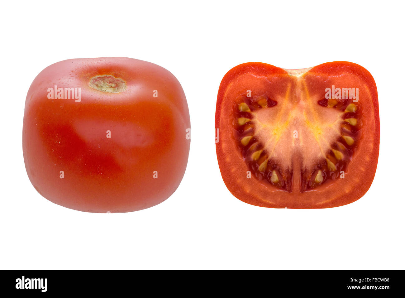 Genetically Modified Food Tomatoes