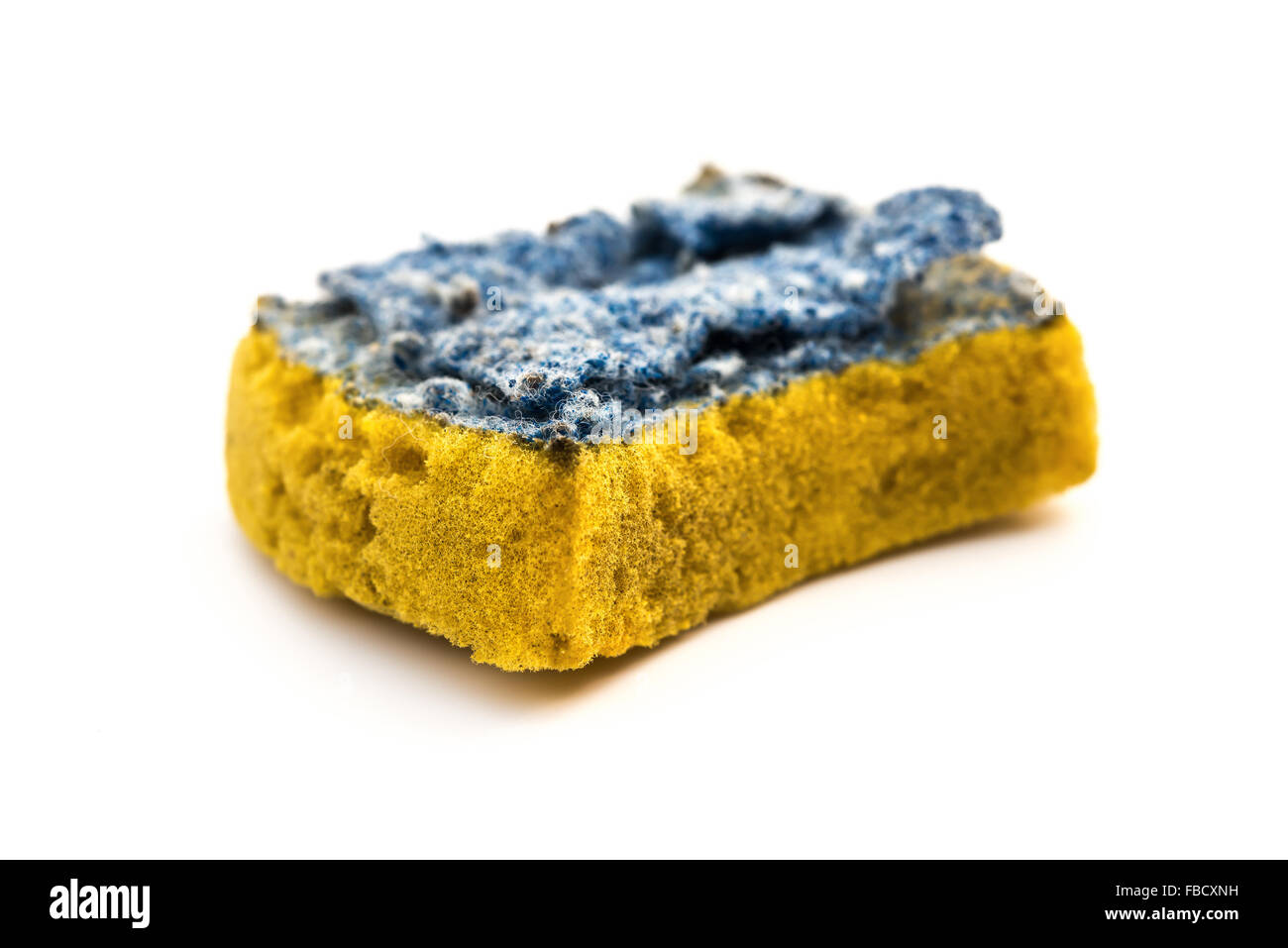 used double-side cleaning sponge on a white background Stock Photo - Alamy