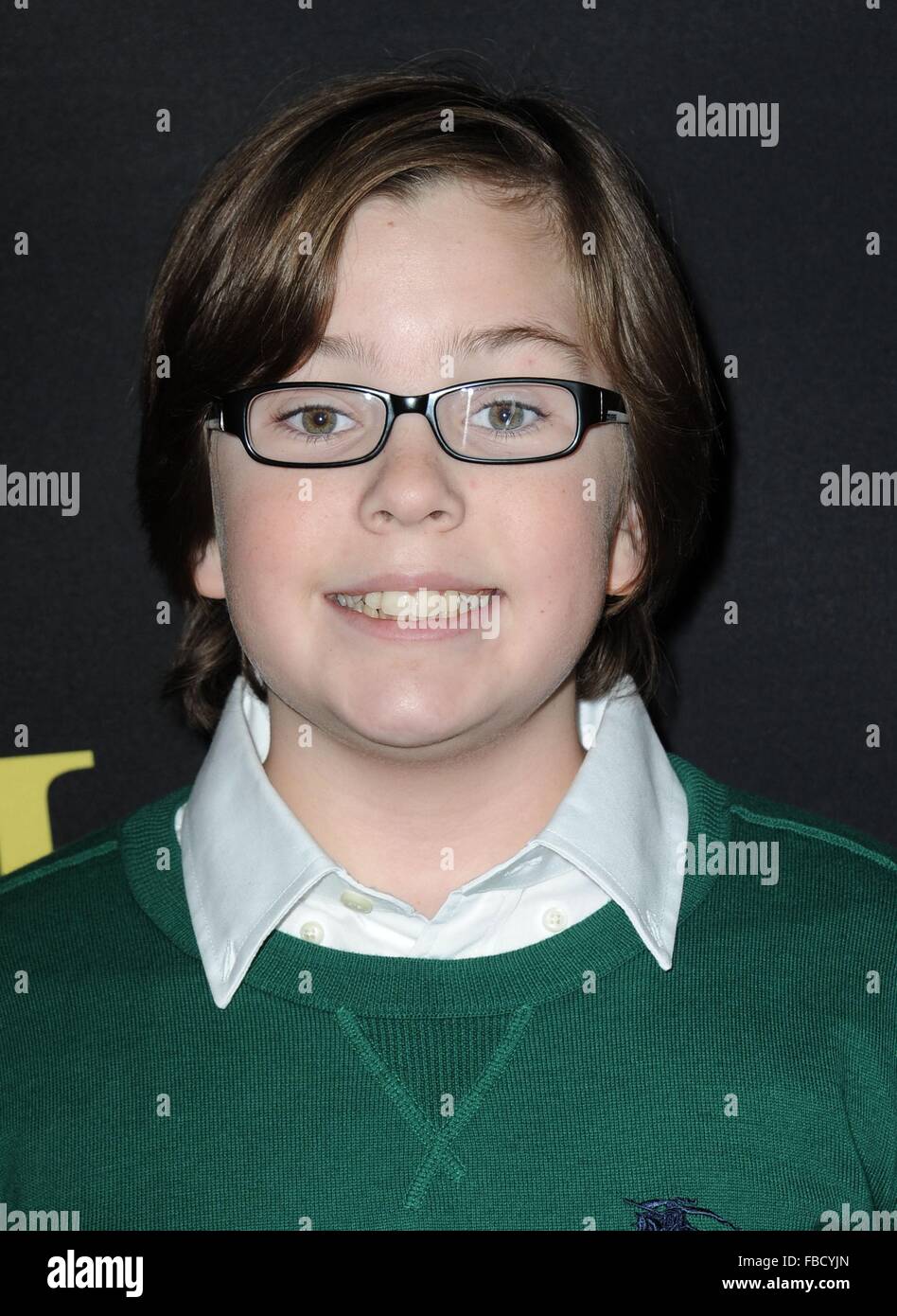 Los Angeles, CA, USA. 14th Jan, 2016. Gabe Eggerling at arrivals for ...
