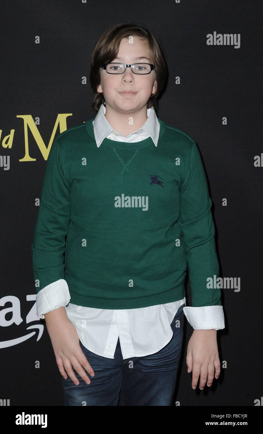 Los Angeles, CA, USA. 14th Jan, 2016. Gabe Eggerling at arrivals for ...