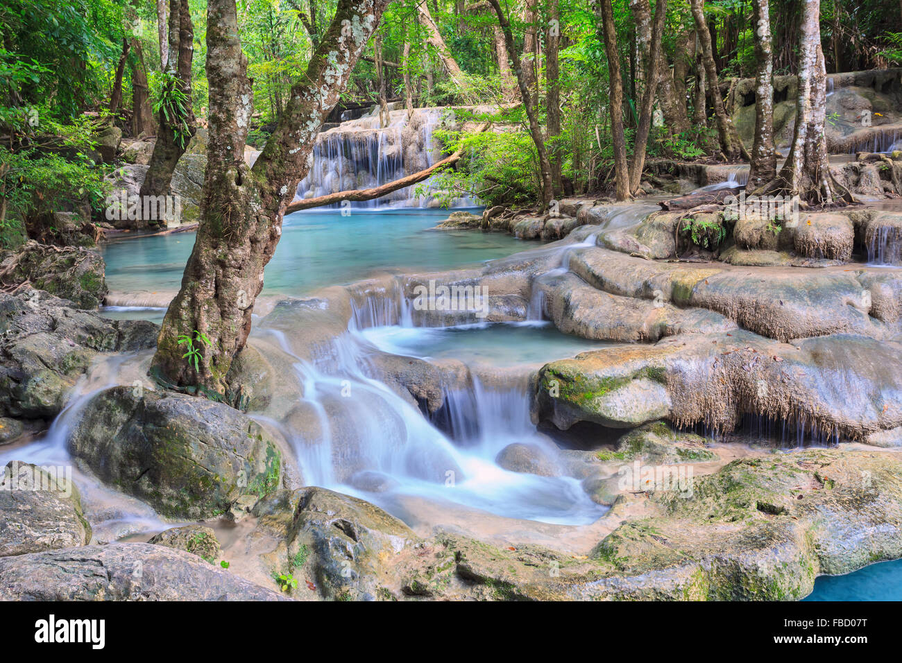 Forest waterfall nature park hi-res stock photography and images - Alamy