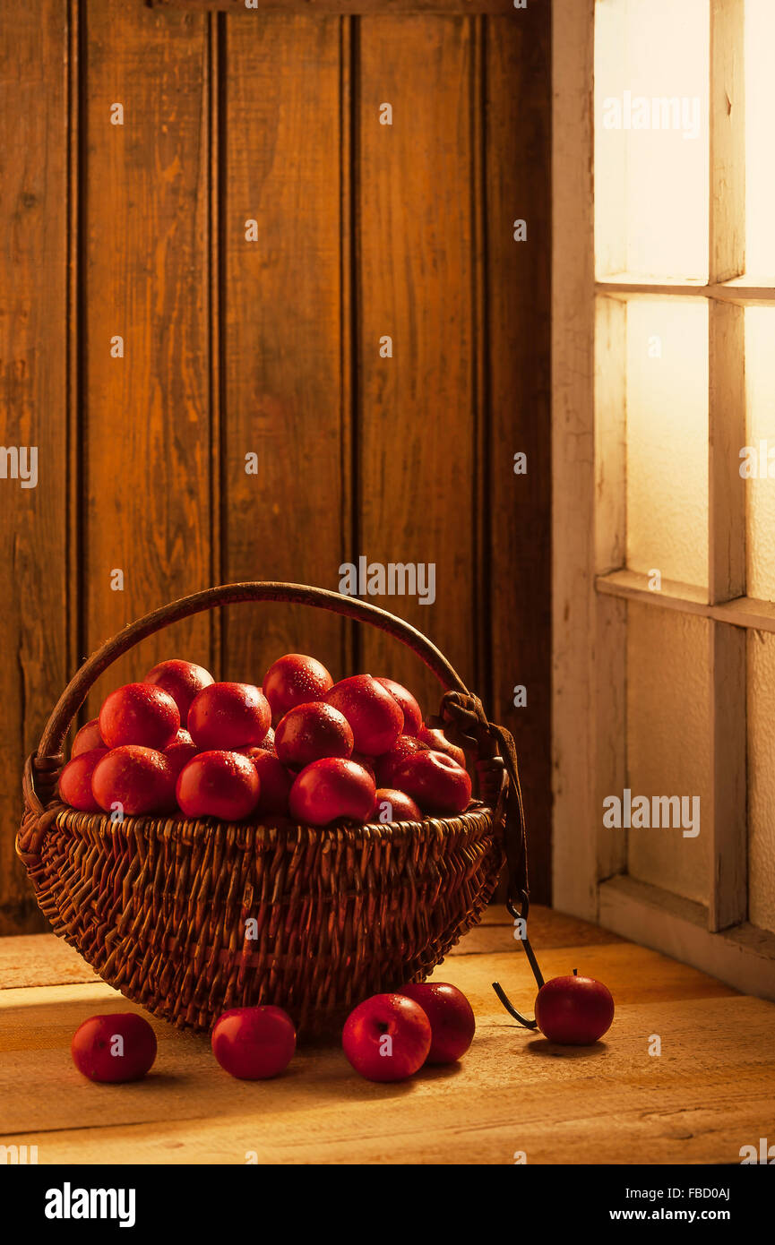 Red apples (Malus domestica), Winter Rambo variety in wicker basket ...