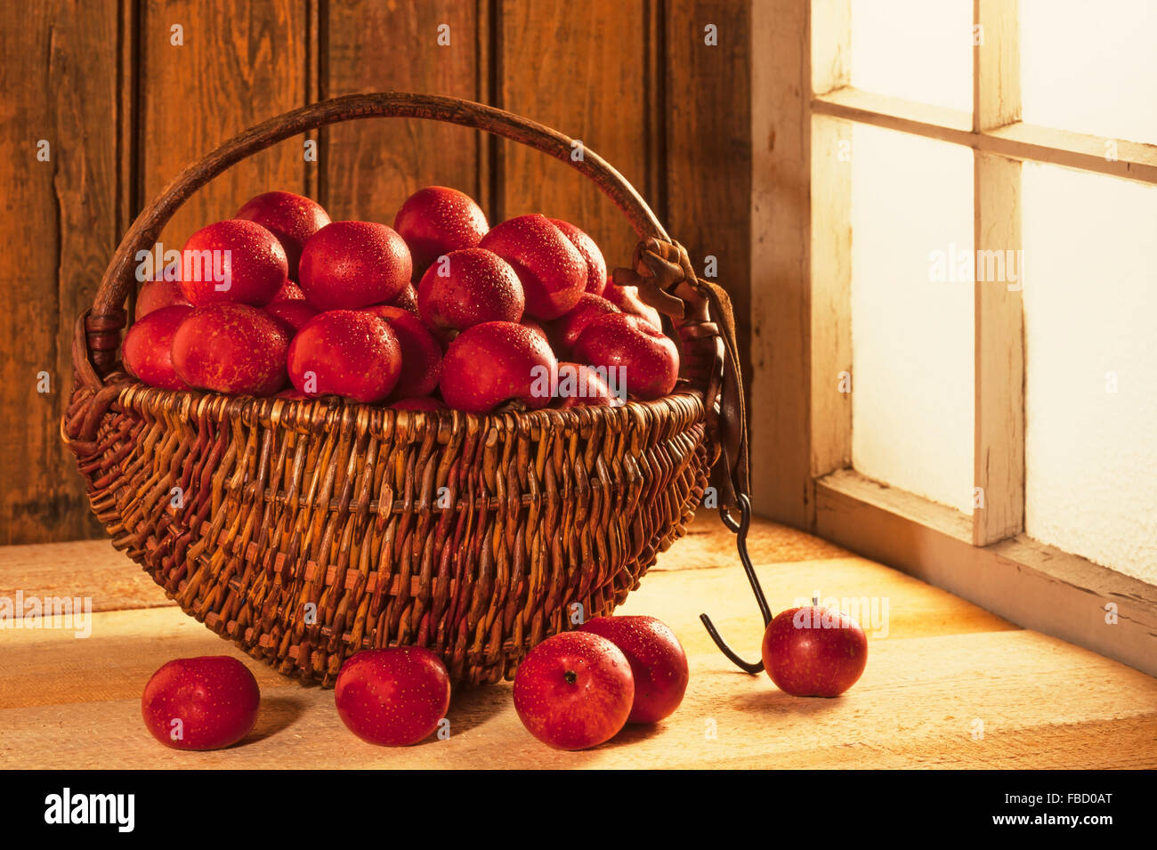 Red apples (Malus domestica), Winter Rambo variety in wicker basket ...