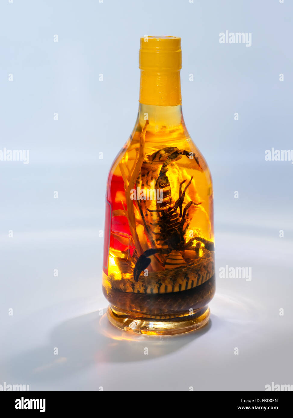 Scorpion and snake hi-res stock photography and images - Alamy