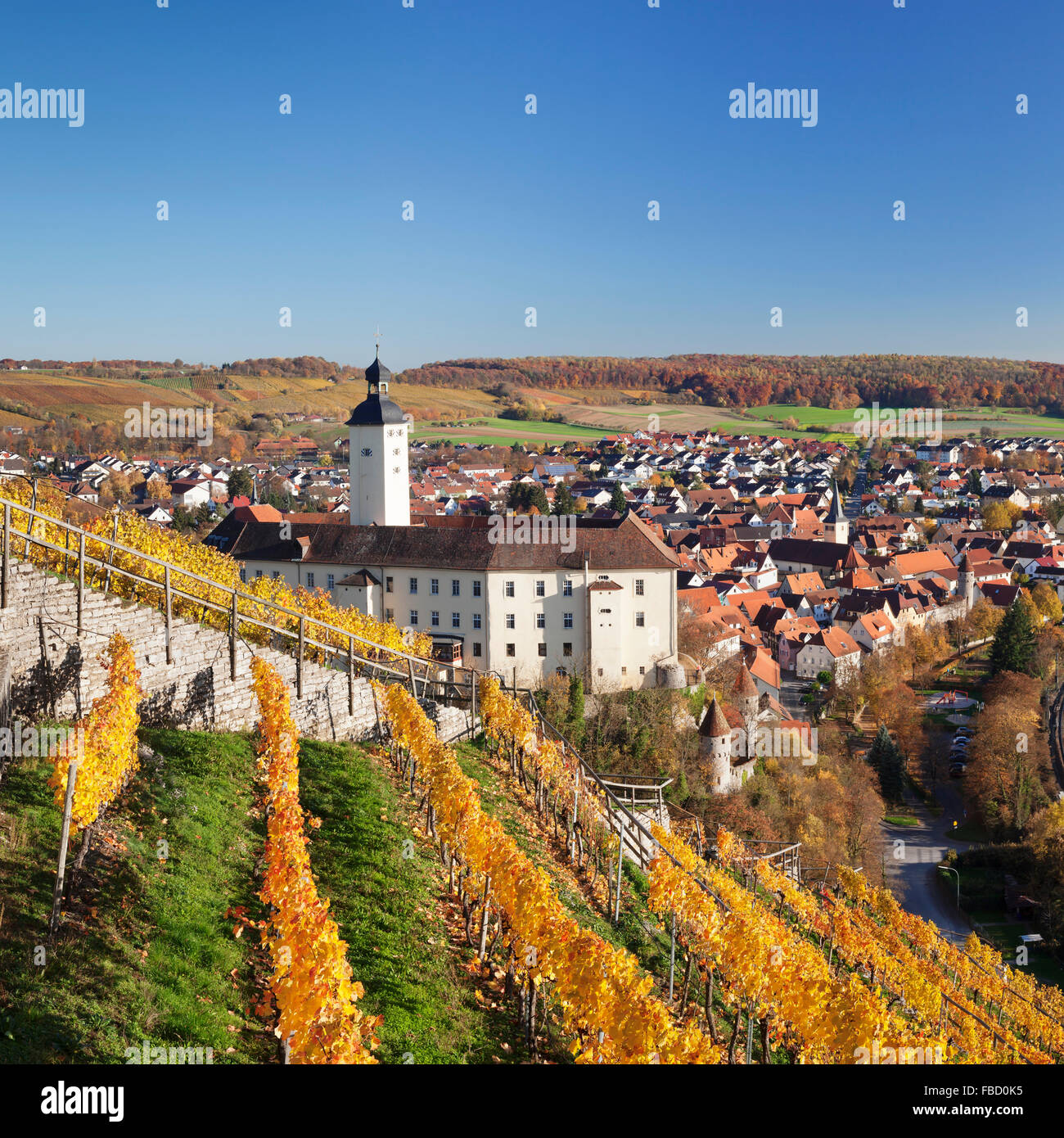Gundelsheim High Resolution Stock Photography and Images - Alamy