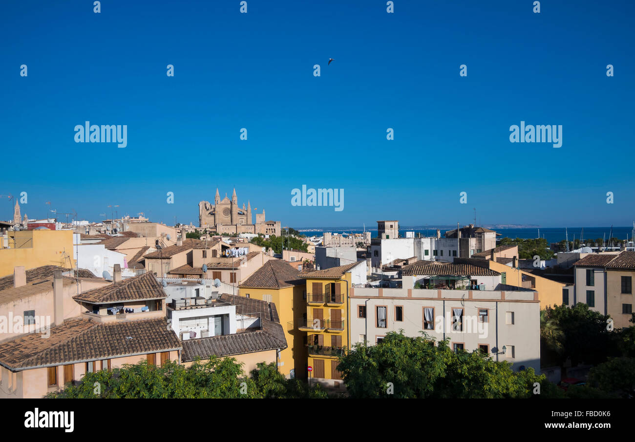 Views of Palma de Majorca with the Cathedral, Majorca, Balearic Islands ...
