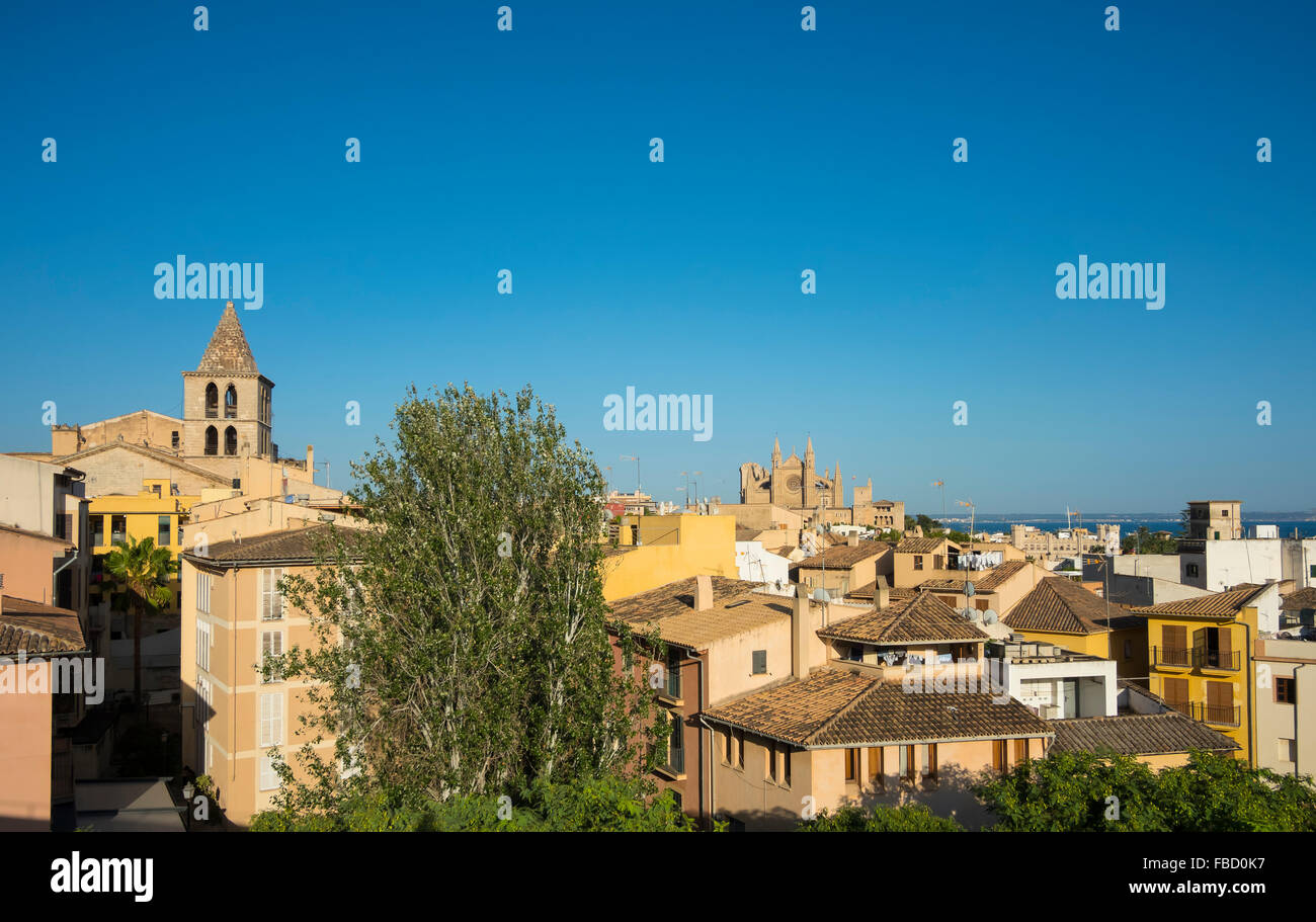 Views of Palma de Majorca with the Cathedral, Majorca, Balearic Islands ...