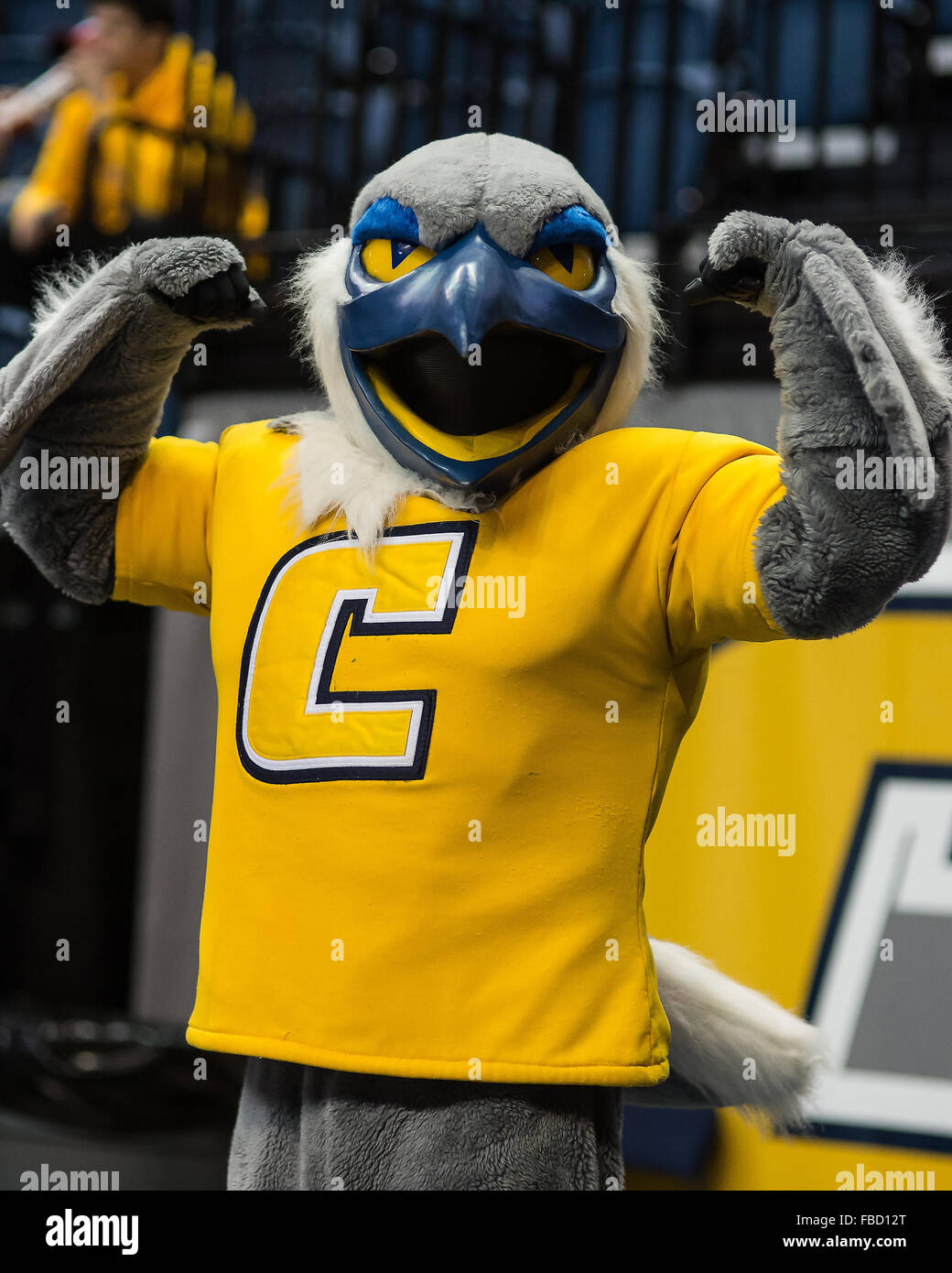 Western carolina catamounts hi-res stock photography and images - Alamy