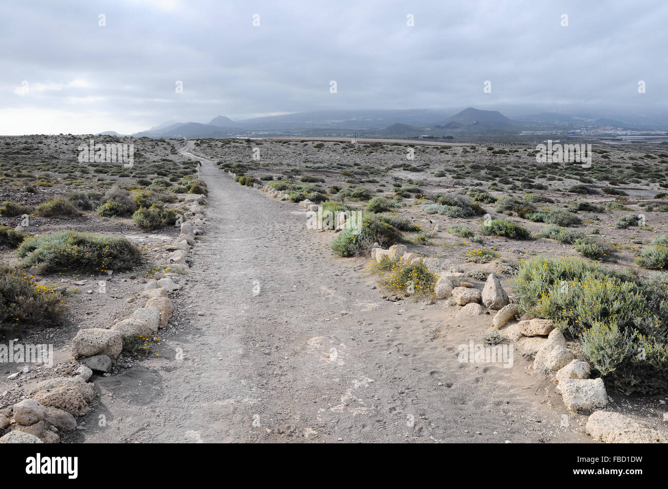 Pathway in the Volcanic Desert Stock Photo - Alamy