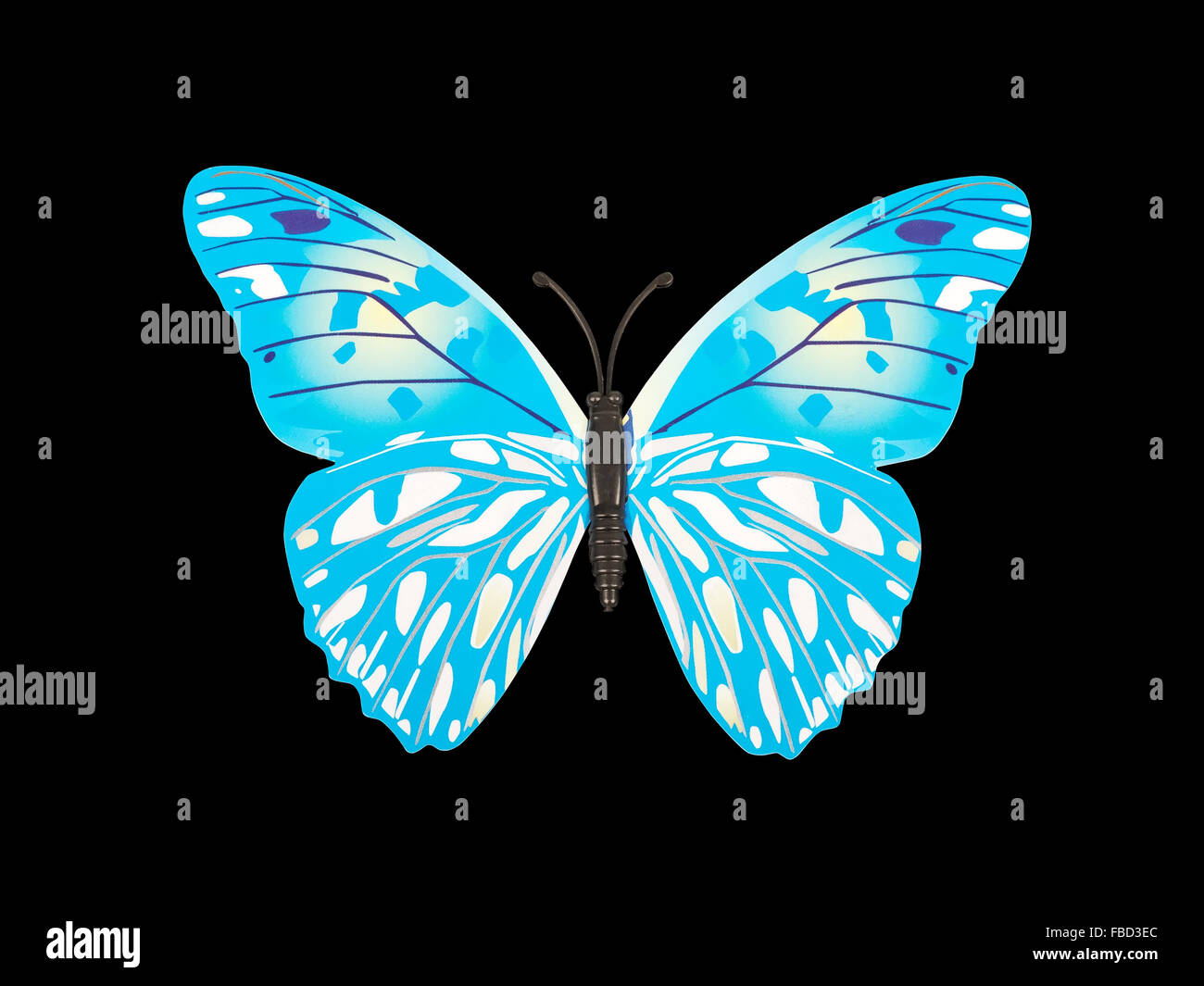 butterfly wall sticker isolated on black background Stock Photo - Alamy