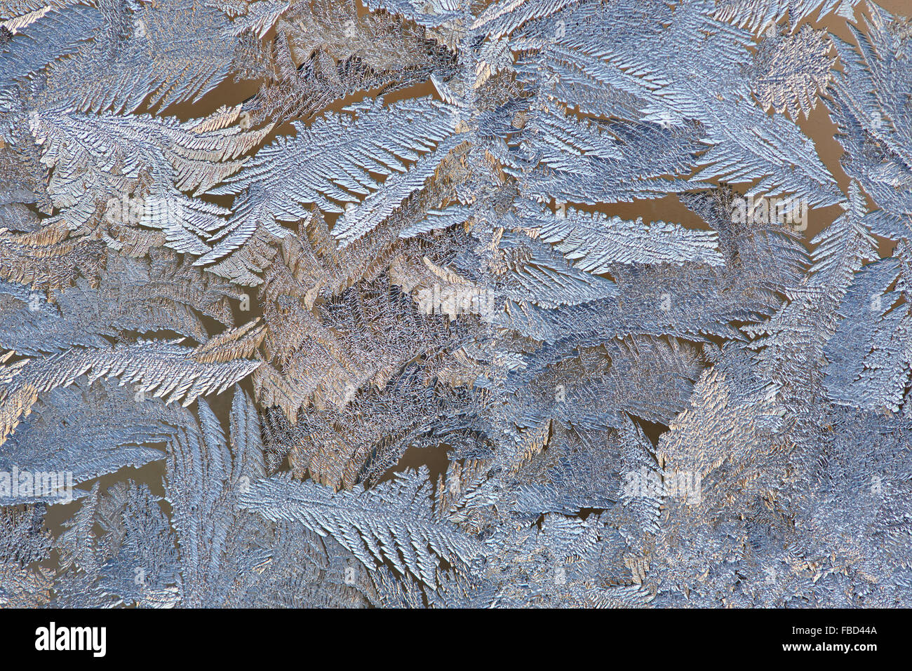 Beautiful frost patterns on glass in winter Stock Photo - Alamy