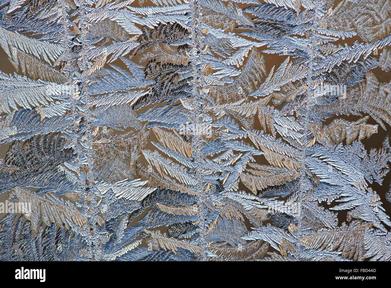 Beautiful frost patterns on glass in winter Stock Photo - Alamy