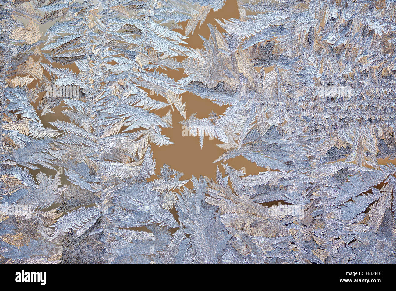 Beautiful frost patterns on glass in winter Stock Photo - Alamy