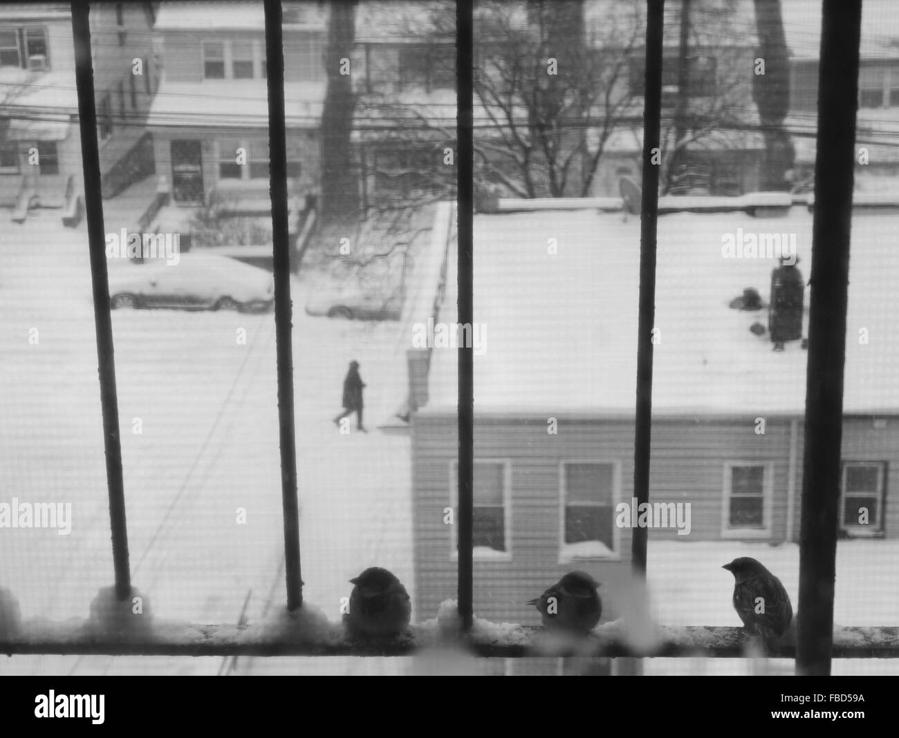Winter Snow Scene Through Window High Resolution Stock Photography and ...