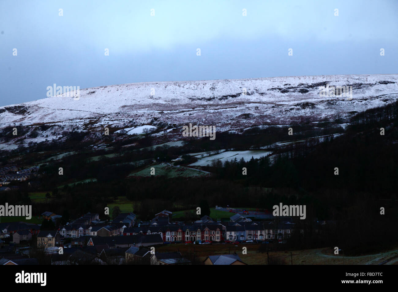 Ogmore forest hi-res stock photography and images - Alamy