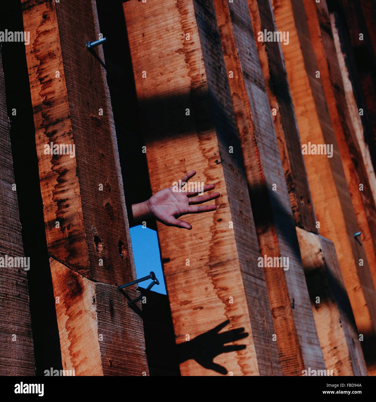 Human survival hi-res stock photography and images - Alamy