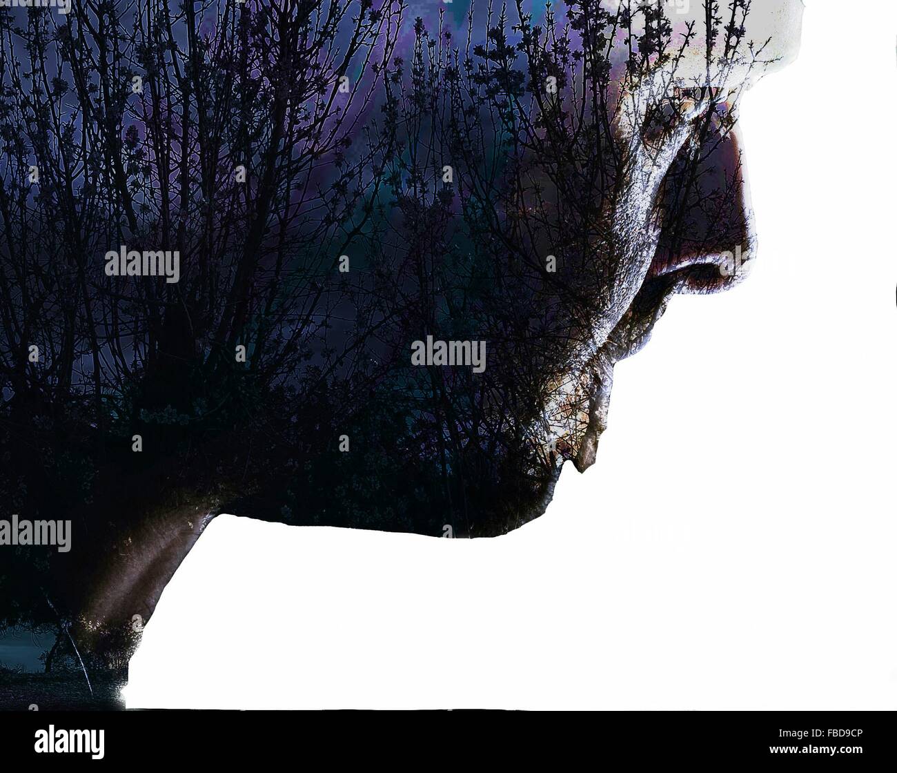 Digital Composite Image Of Man With Trees Against White Background ...