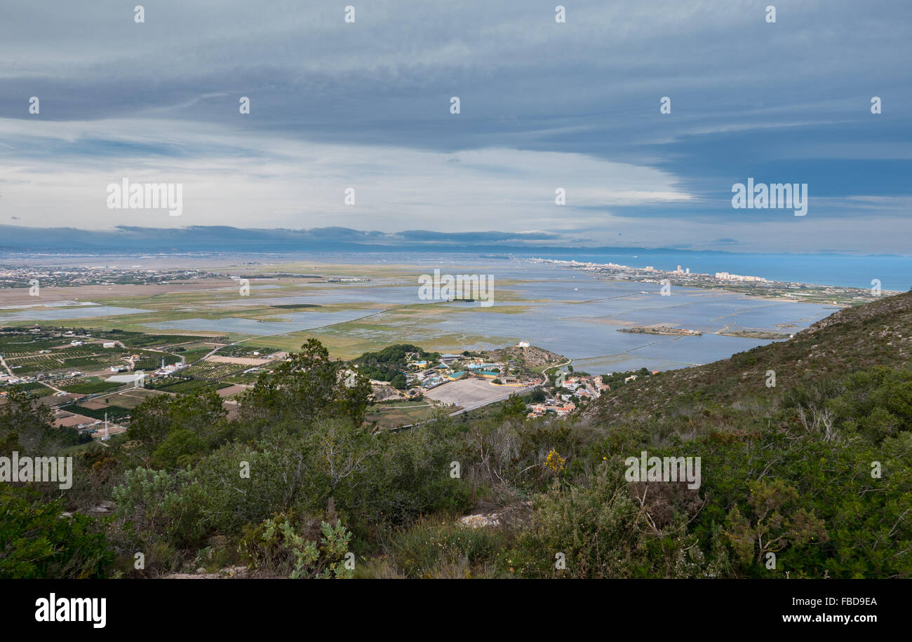 Rice field in albufera hi-res stock photography and images - Alamy