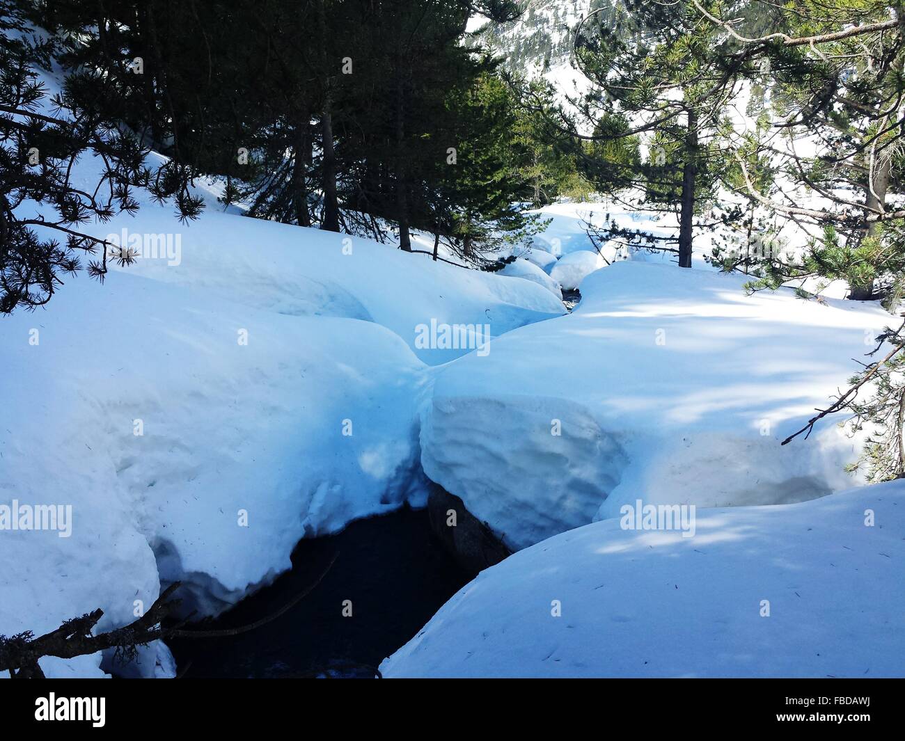 Close-Up Of Stream Along Snowed Landscape Stock Photo - Alamy