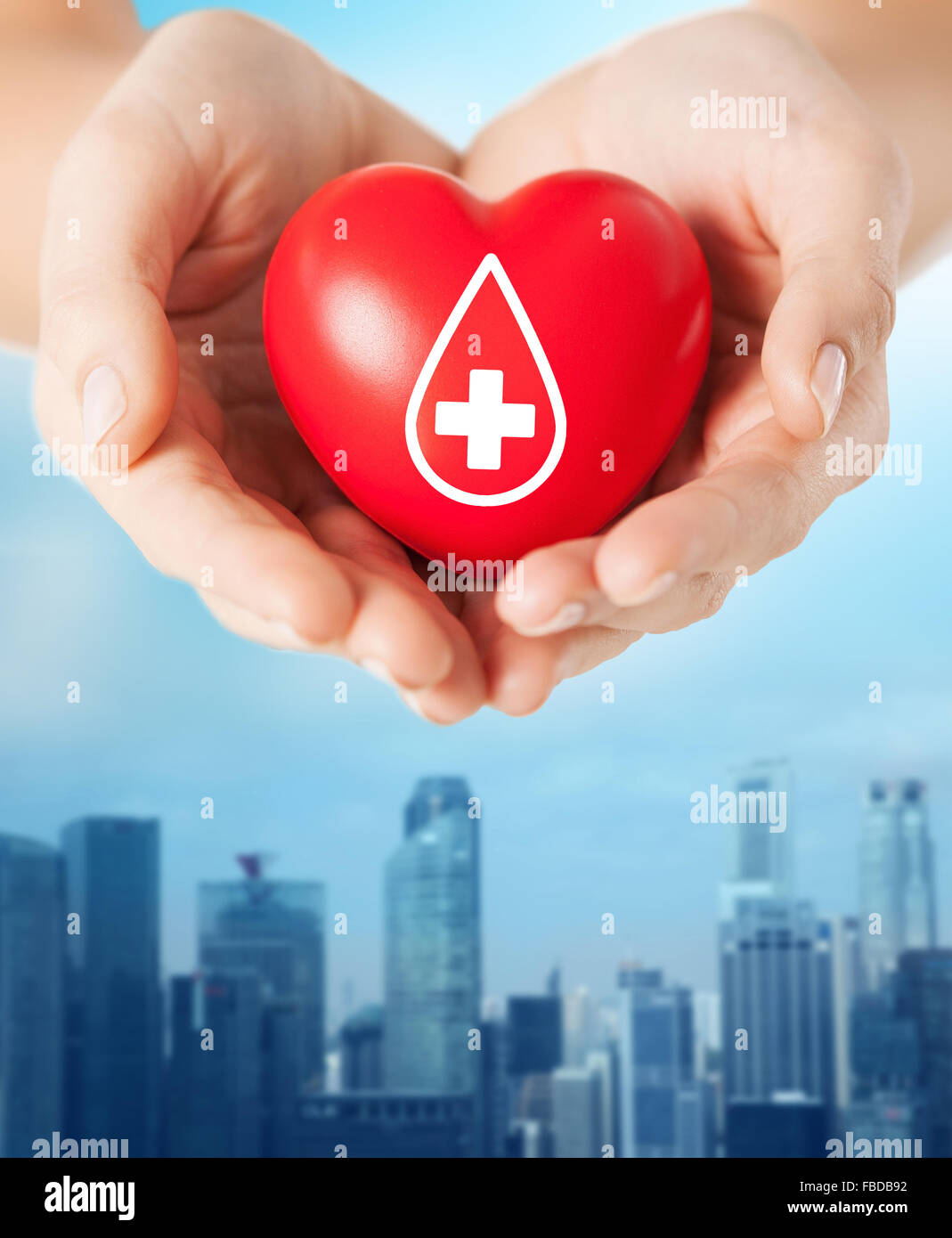 female hands holding red heart with donor sign Stock Photo - Alamy