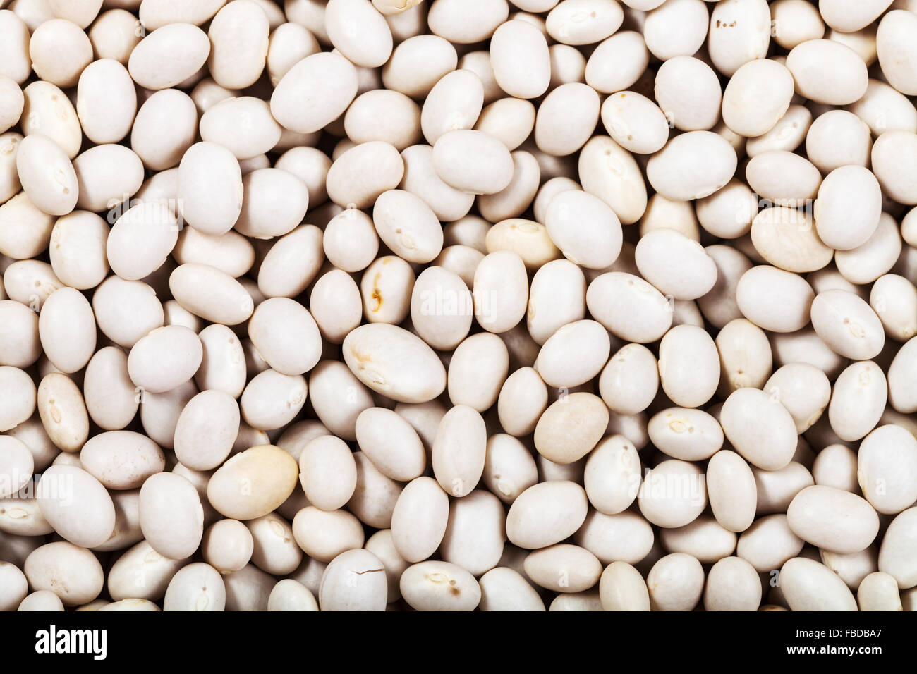 food background - raw white haricot navy beans Stock Photo - Alamy