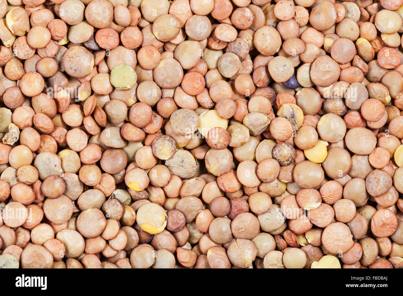 food background - raw brown lentil seeds close up Stock Photo - Alamy