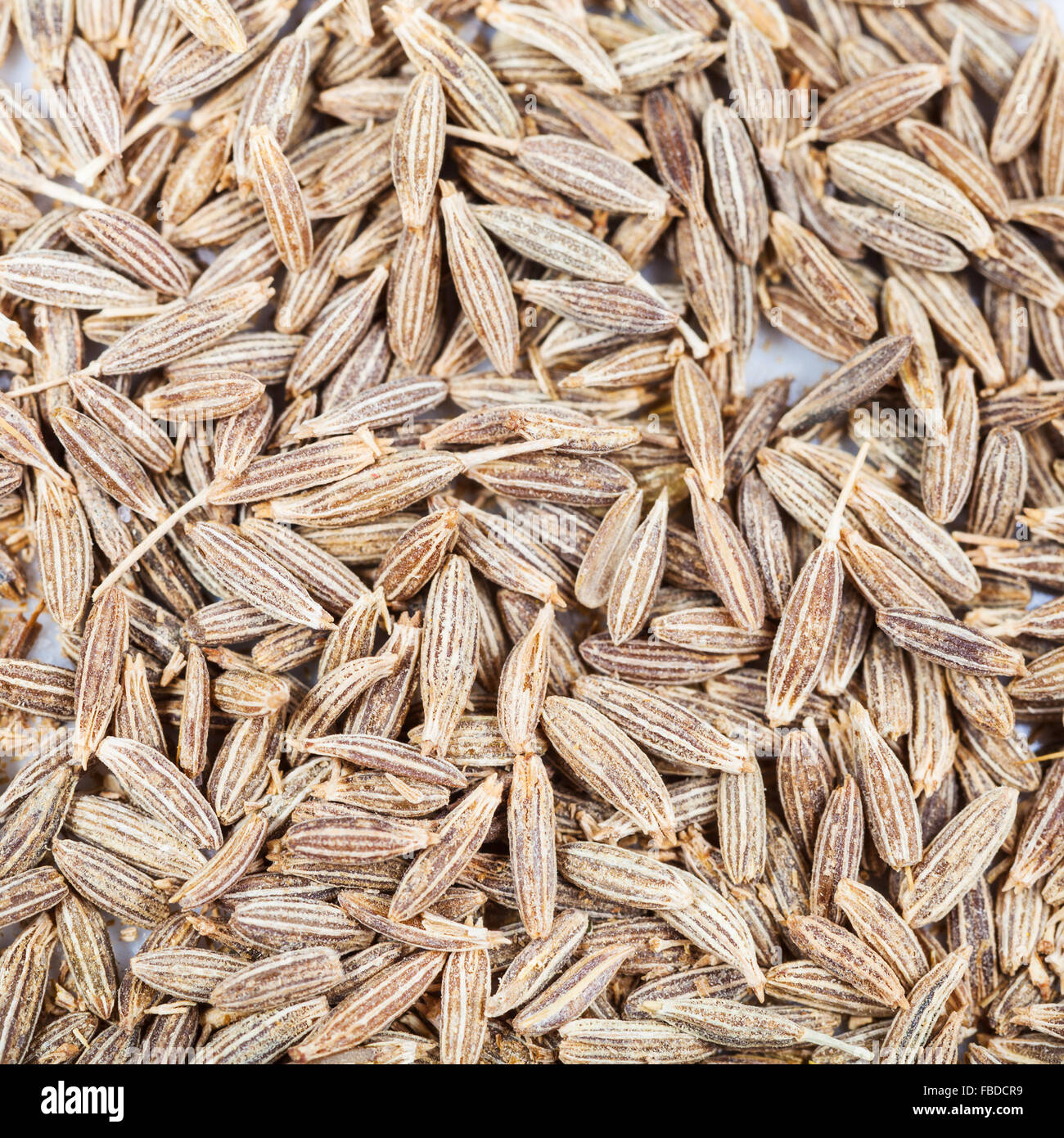 square food background - dried cumin (cummin) spice seeds close up ...