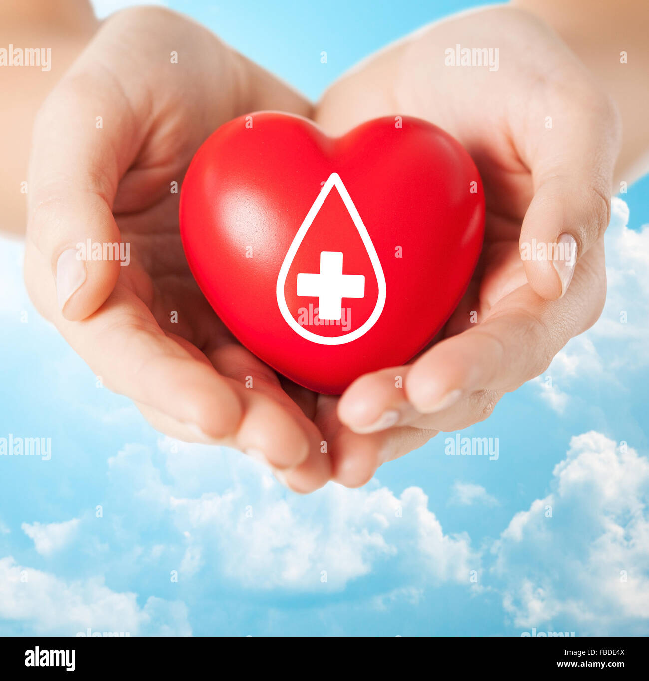 female hands holding red heart with donor sign Stock Photo - Alamy