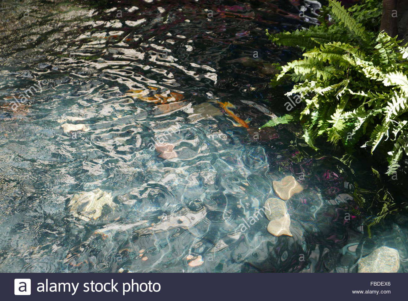 Refraction Underwater Stock Photos & Refraction Underwater Stock Images ...
