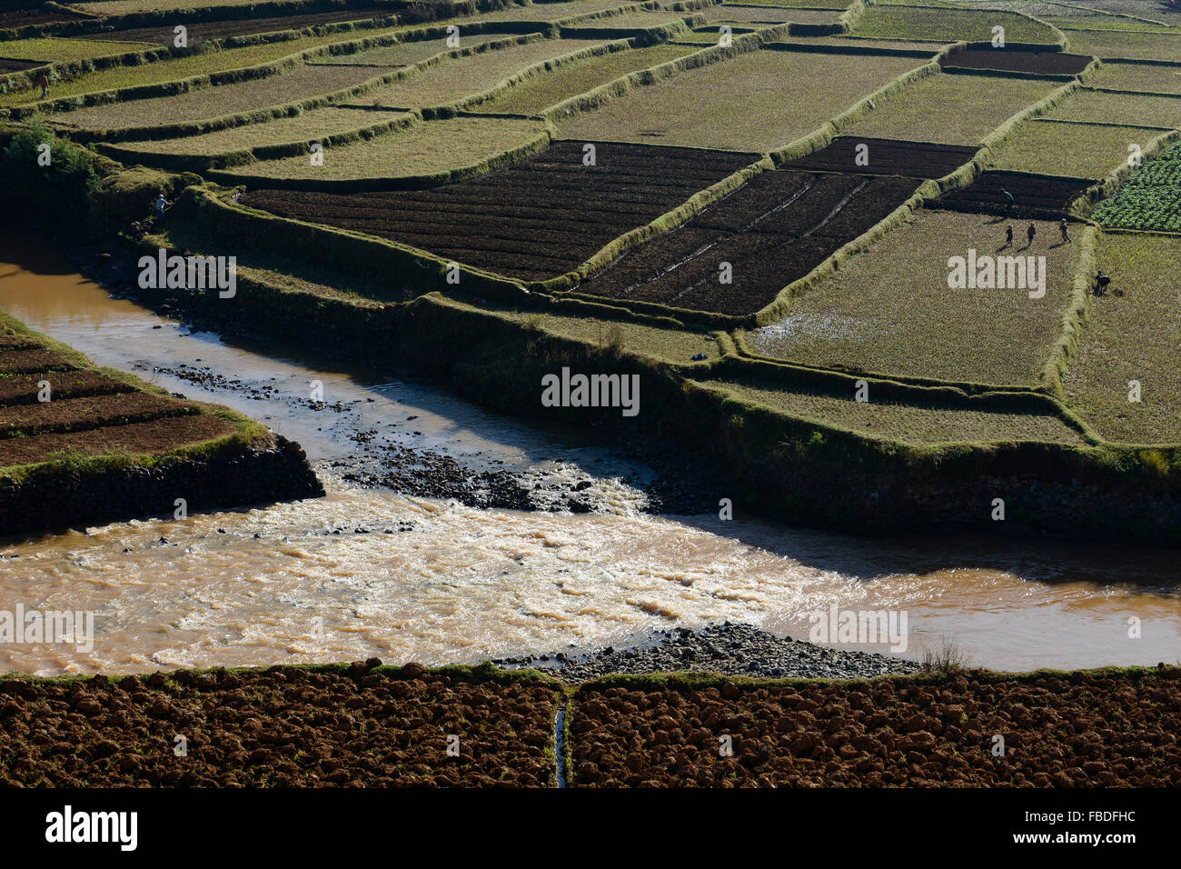 MADAGASCAR, highlands, rice cultivation, rain flooded paddy fields near ...