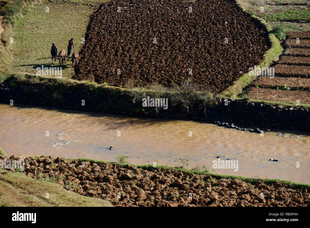 MADAGASCAR, highlands, rice cultivation, rain flooded paddy fields near ...