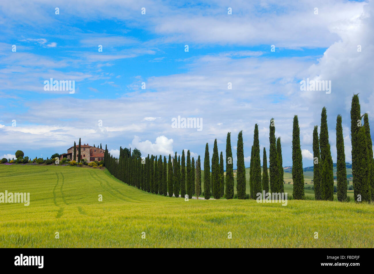 Val d'Orcia, Orcia Valley, Farm with cypress trees, Fields and ...