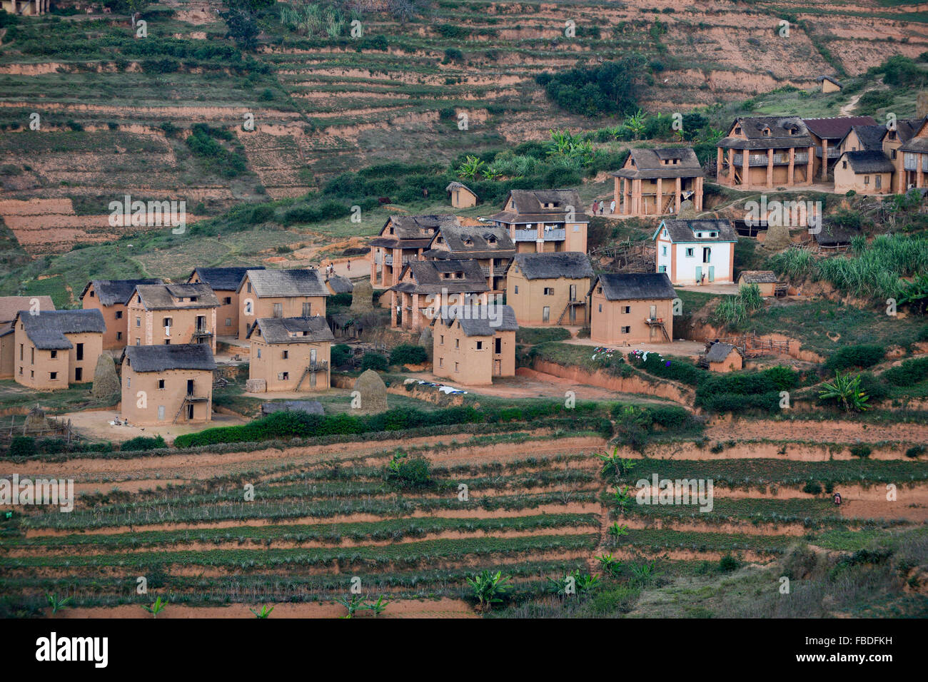 MADAGASCAR, village with traditional clay brick houses and terrace ...