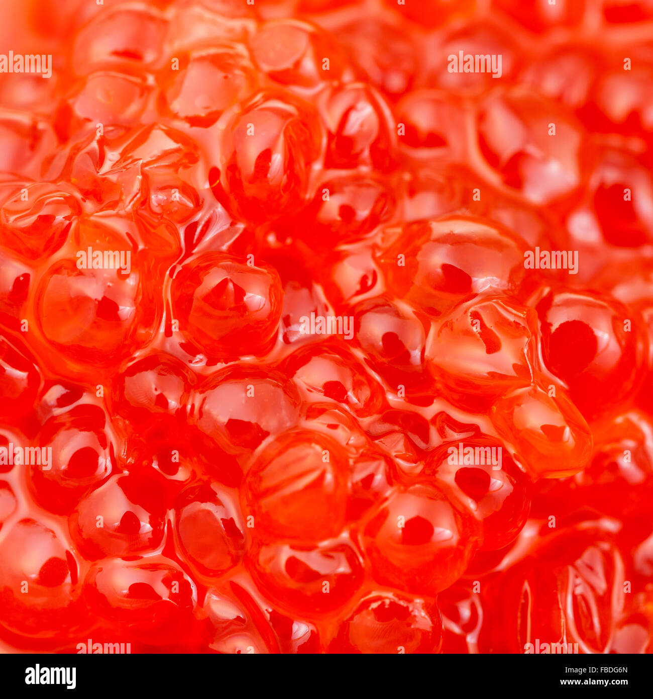 square food background - blueback salmon fish red caviar close up Stock ...